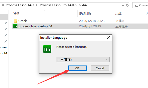 【亲测能用】Process Lasso 14.0 免费破解版+安装教程安装图文教程-3d溜溜网