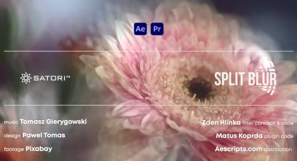 Aescripts Split Blur for AE/PR 1.0.2软件下载_AE/PR万花筒风格模糊插件：Aescripts Split Blur V1.0.2免费下载 -3D溜溜软件下载网