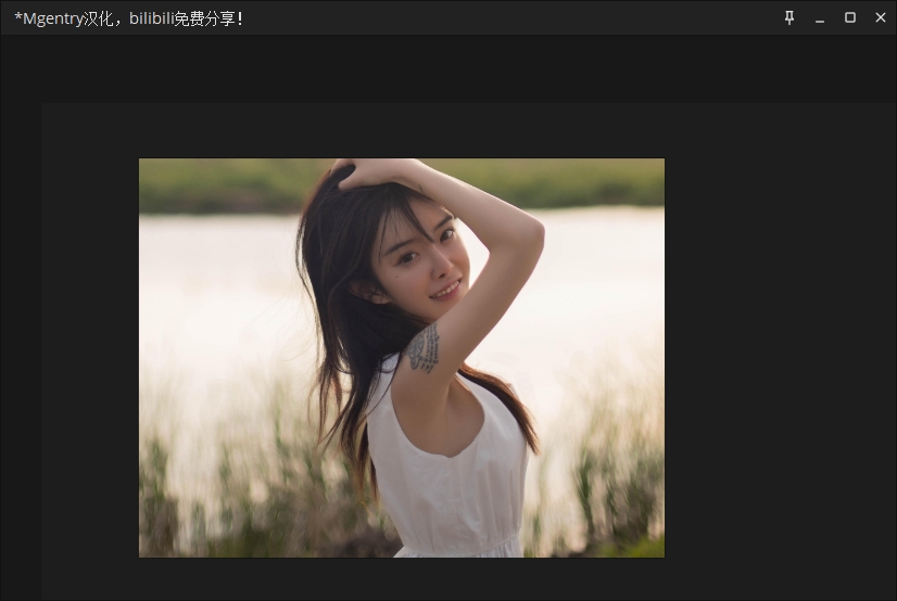 PureRef 2.0软件下载_PureRef 2.0 中文免费版下载 -3D溜溜软件下载网